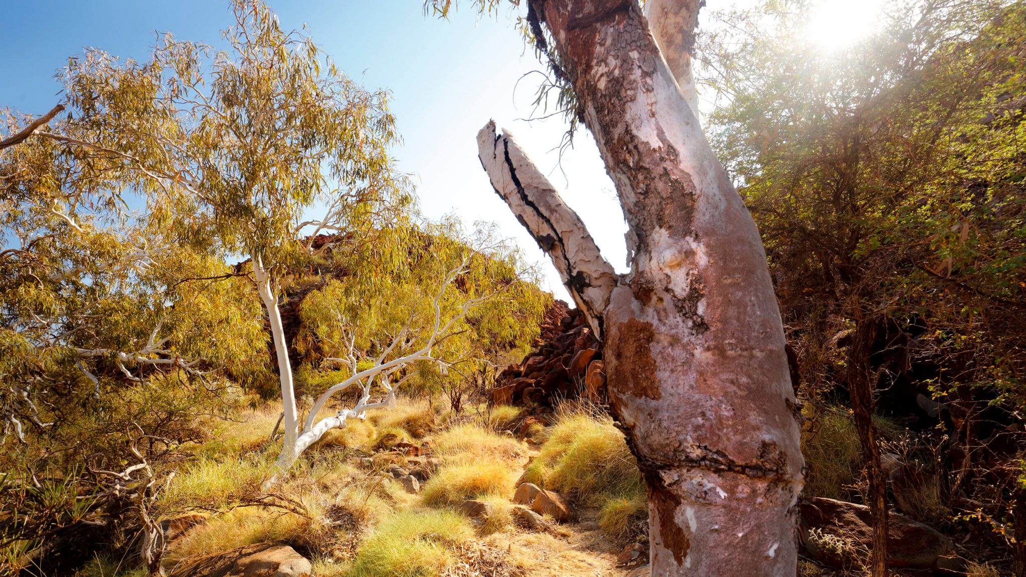 Contact Us | Karratha is Calling